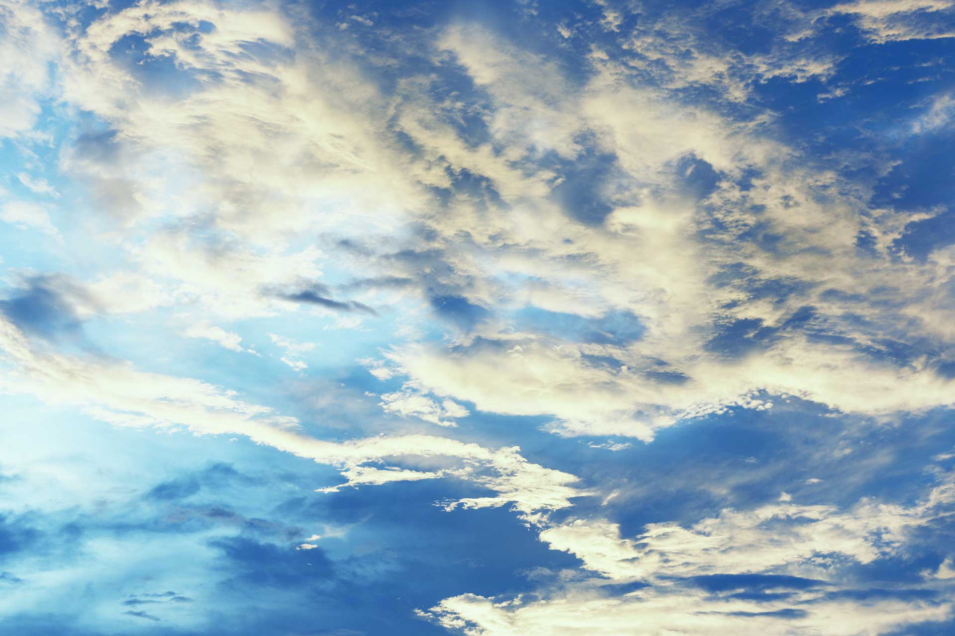 Datatrim Your Data Laundry Data Quality Solutions For Salesforce